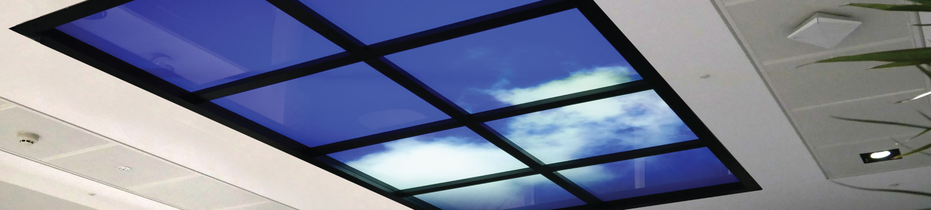 Reaching for the Sky with UST Solutions | Pro Display