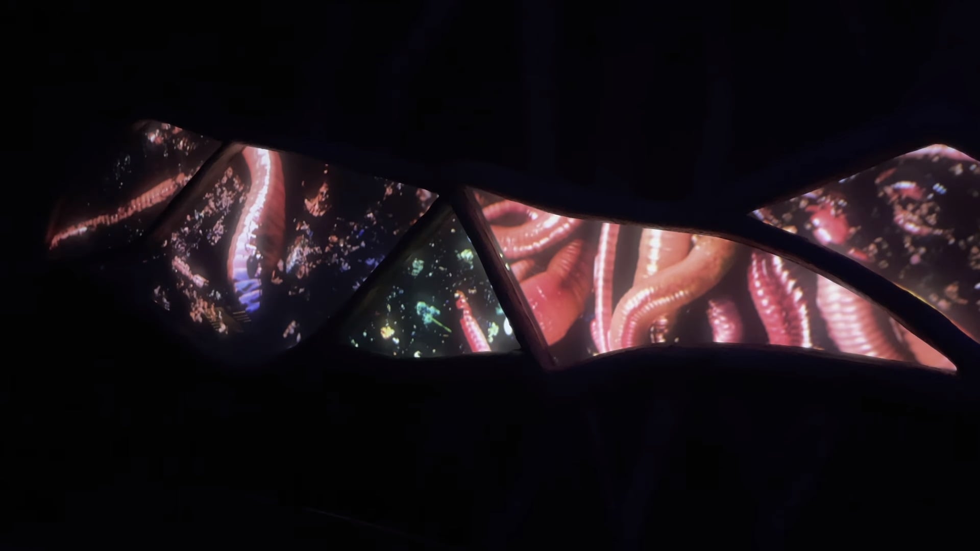 Digital Glass goes “Under the Ocean” at Expo 2020 | Pro Display