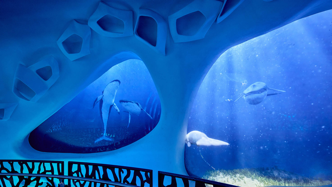 Digital Glass goes “Under the Ocean” at Expo 2020 | Pro Display
